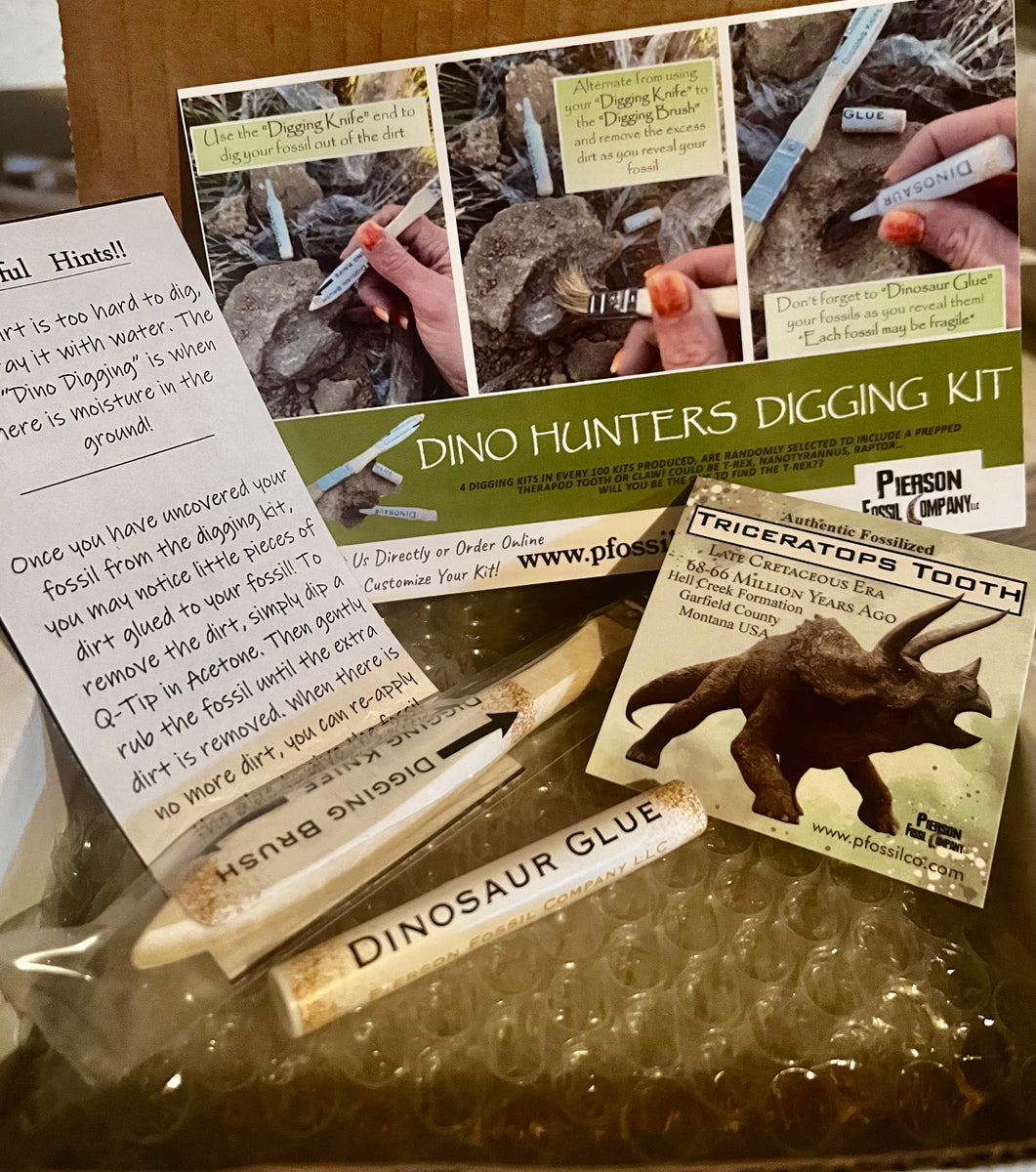 Triceratops Tooth Dino Hunters Digging Kit – Pierson Fossil Company LLC