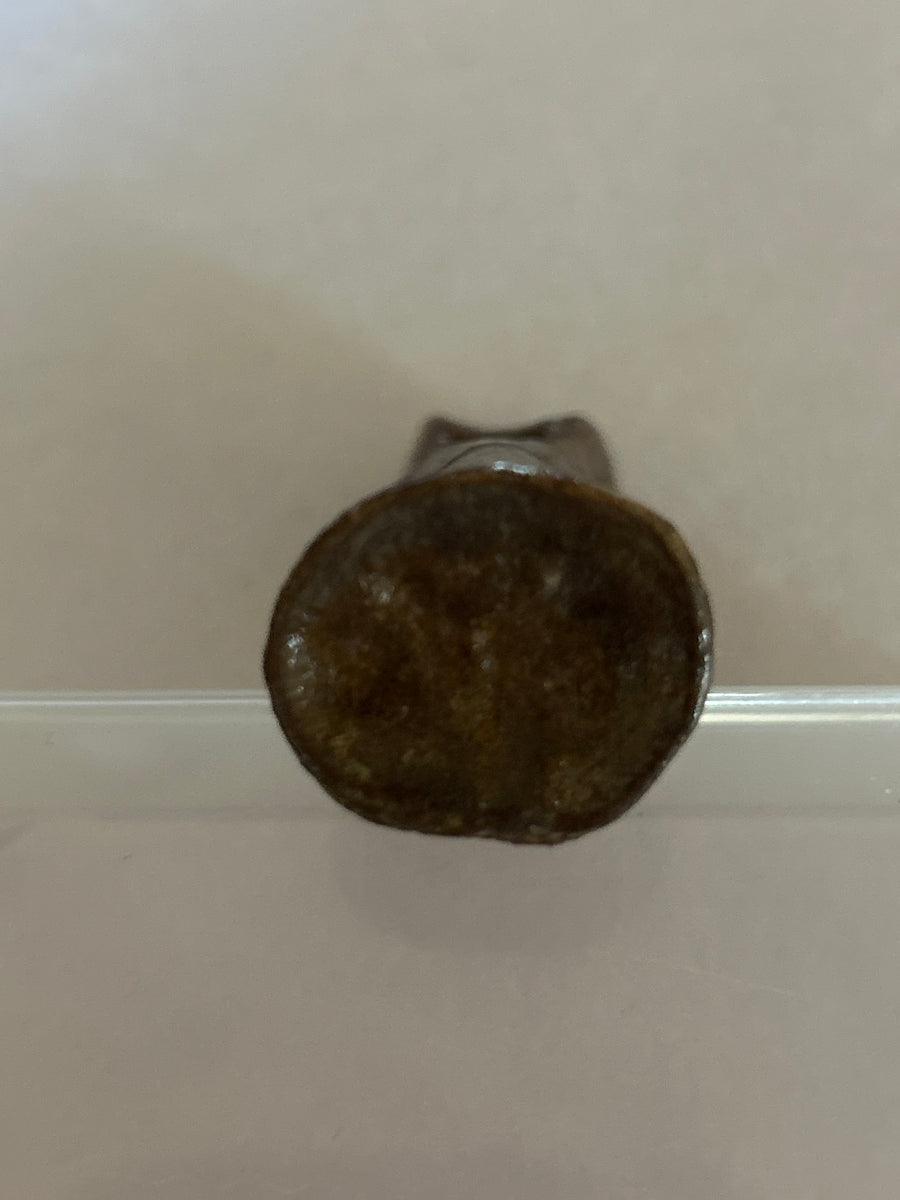 Raptor Toe Bone (Anzu Wyliei) – Pierson Fossil Company LLC