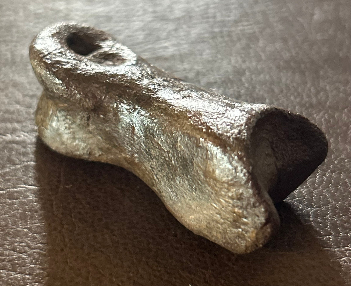 Raptor Toe Bone – Pierson Fossil Company LLC